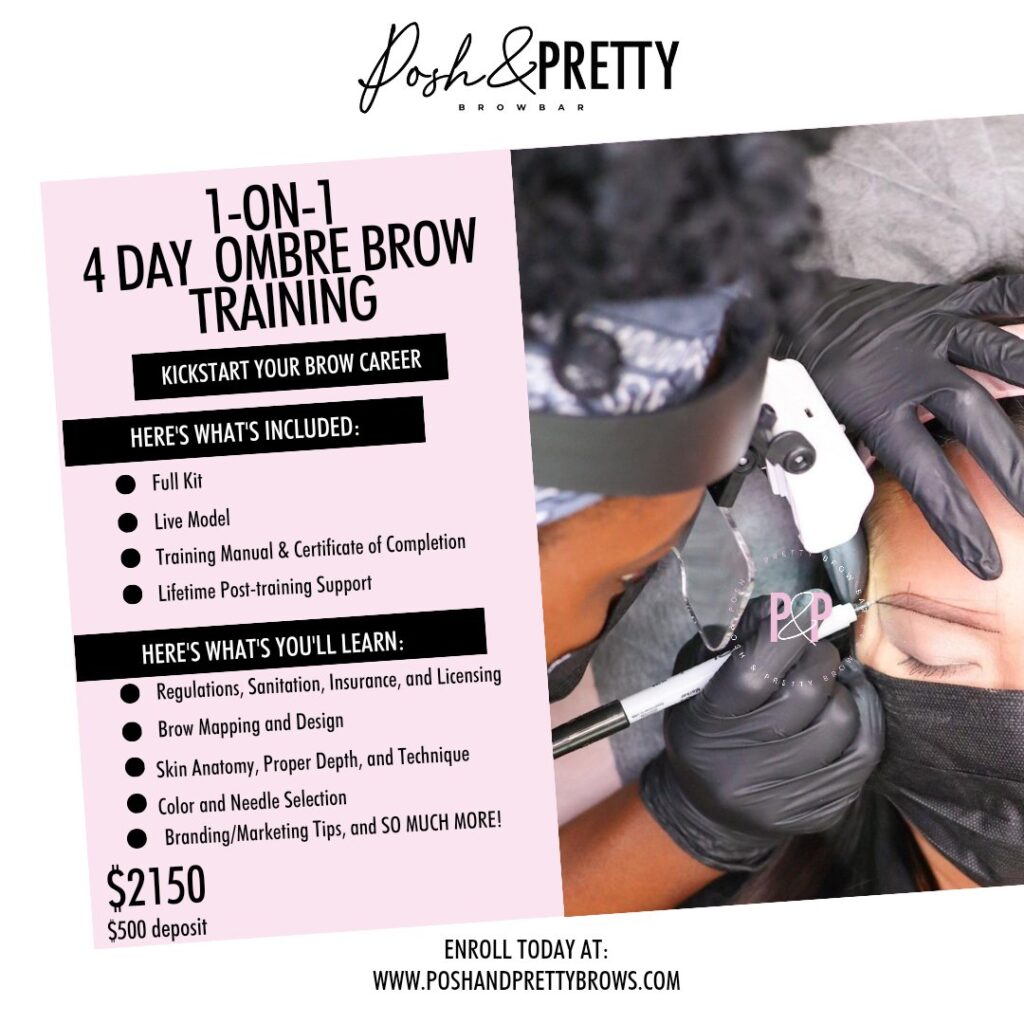 1 on 1 4 Day Ombre Brow Training – Posh and Pretty Brow Bar
